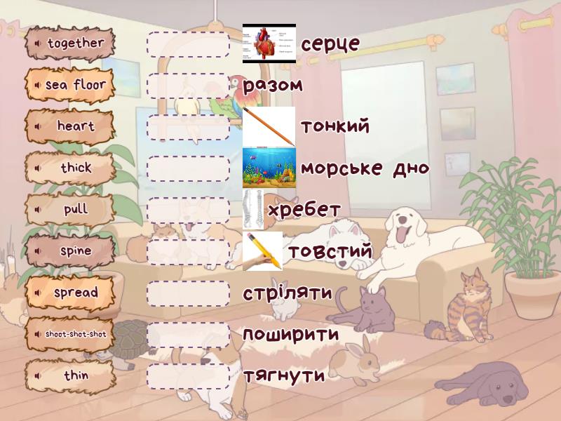 our world 5 copycat animals reading part 2 - Match up