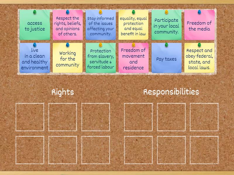 Youth rights and responsibilities - Group sort