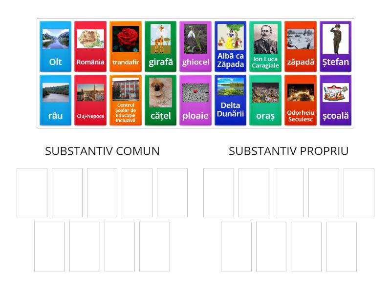 SUBSTANTIV PROPRIU SAU COMUN? - Ordenar por grupo