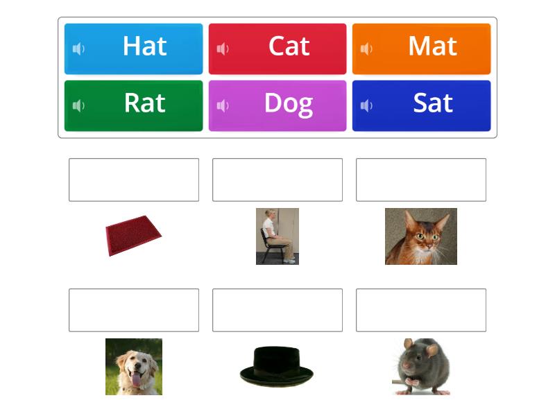 KG2 Match the CVC Word to the picture - Match up