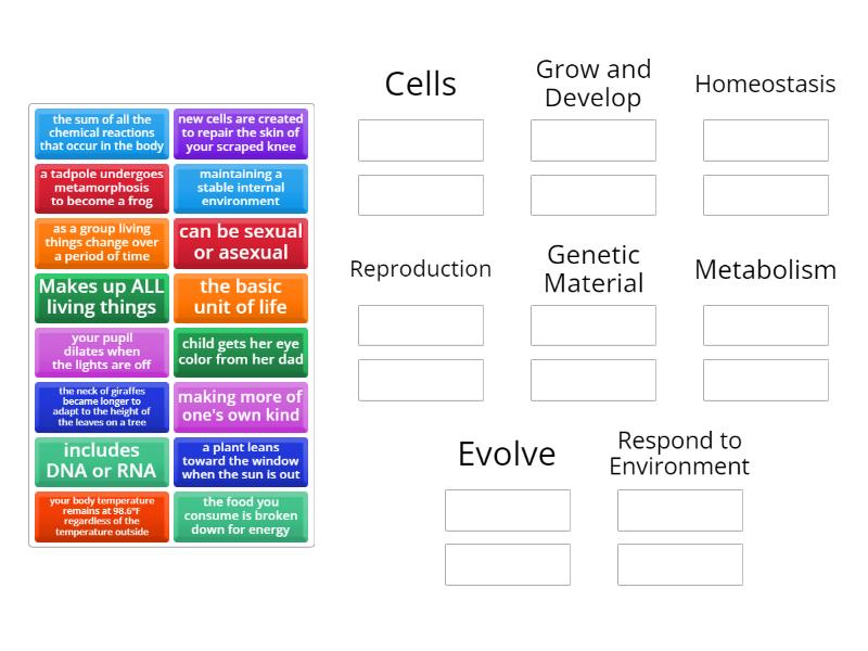 Characteristics of Life Review - Group sort