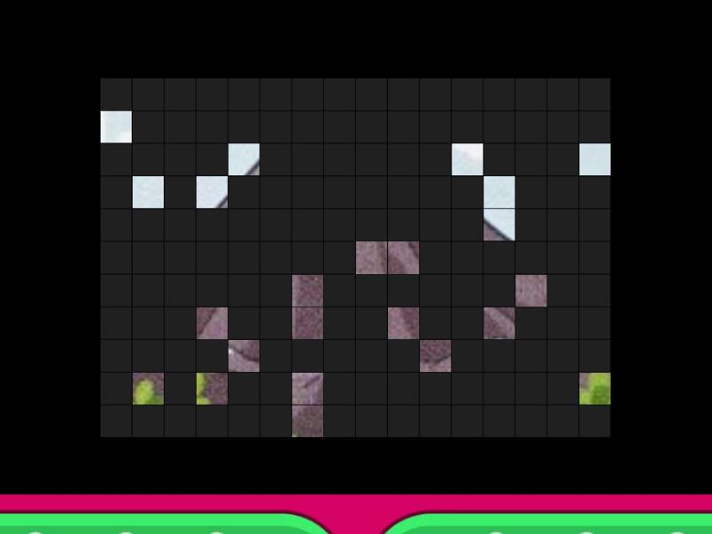 FF3 unit 9 vocabulary - Image quiz