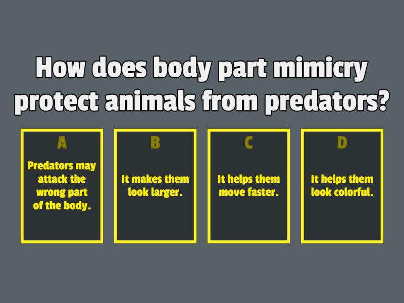 Animal Mimics - Quiz