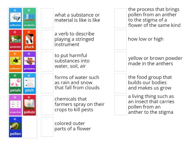 Science Glossary 5 stage (p) - Match up