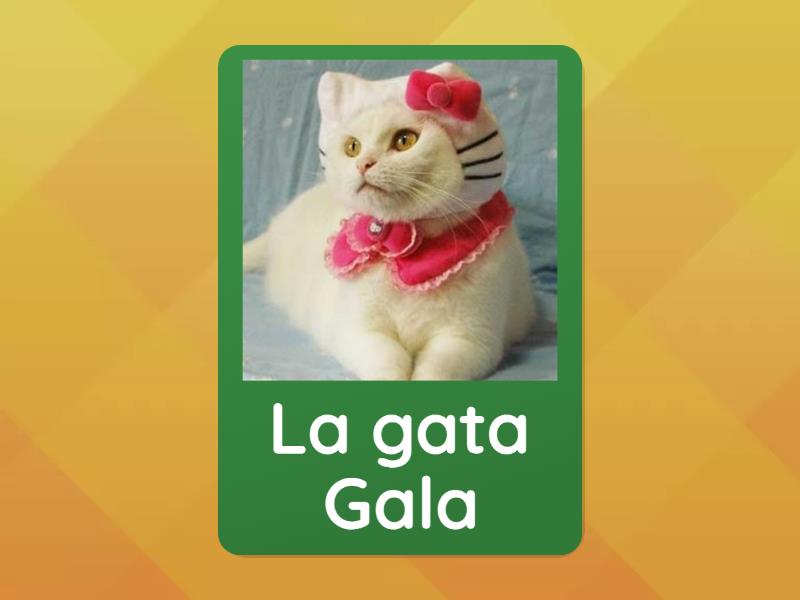 La Gata Gala - Flash cards