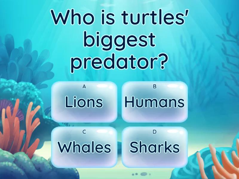 Saving Sea Turtles - Quiz