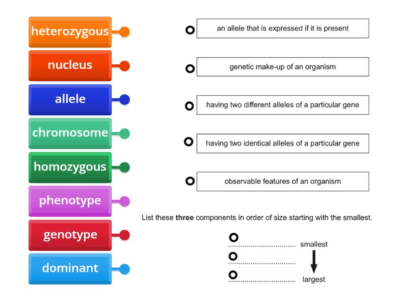 Genetics terminology - Cambridge IGCSE Bio - Labelled diagram