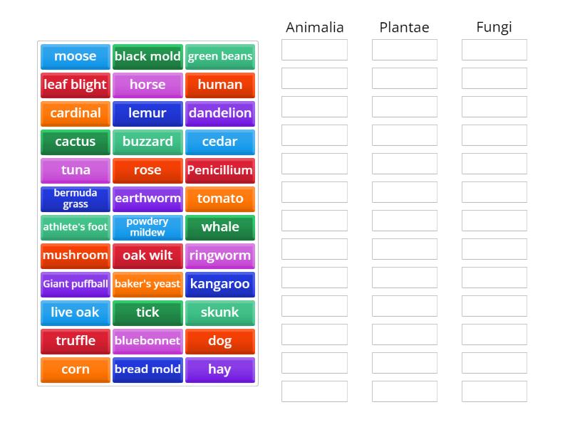 Kingdom Sort - Group sort