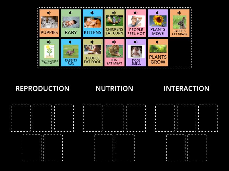 VITAL FUNCTIONS - Group sort