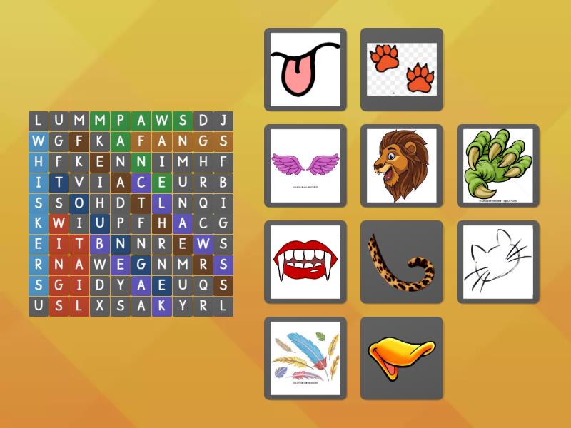 Animal Body Parts: - Wordsearch