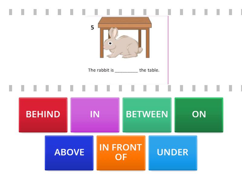(NIKI) Rabbit prepositions - Find the match
