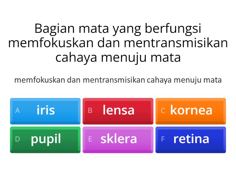 Mata - Quiz