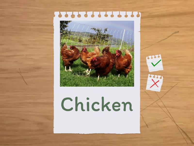L2 Food Flashcards - Flash cards