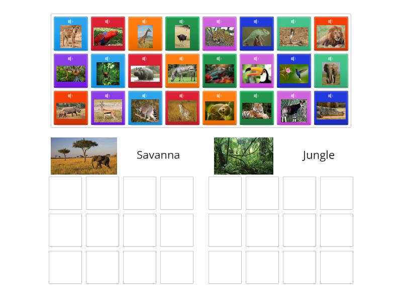 animals - Group sort