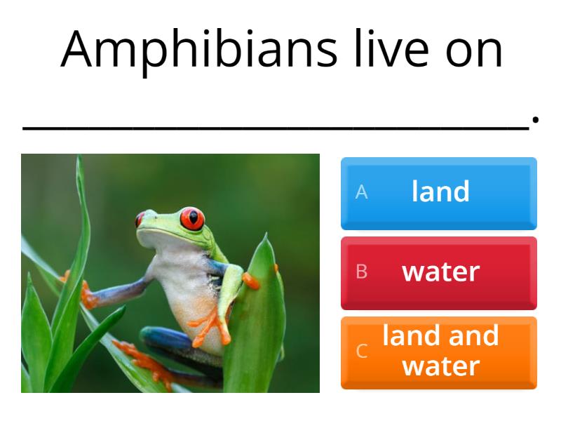Amphibians Quiz - Cuestionario