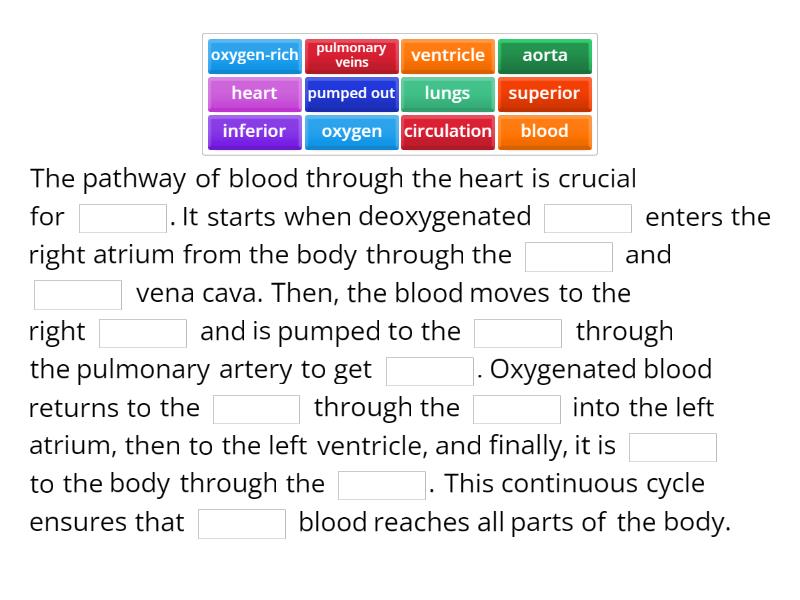 The Circulatory System - Complete the sentence