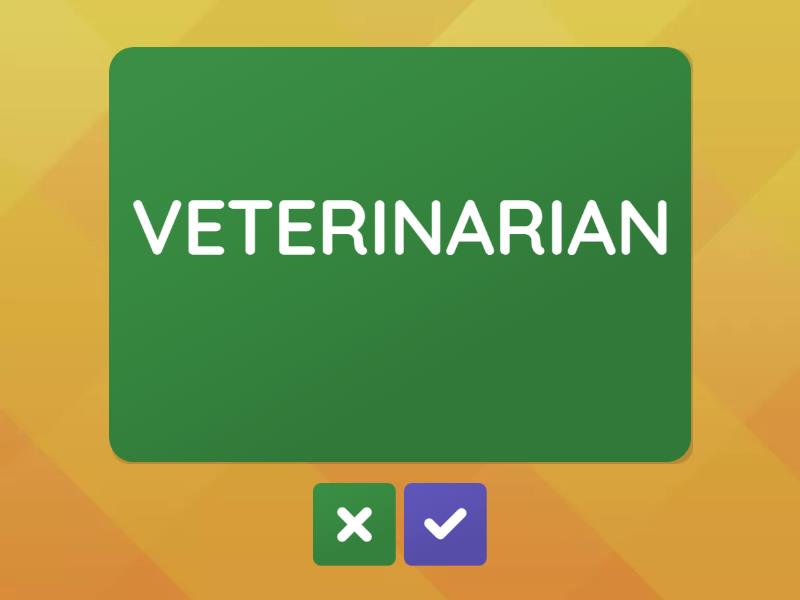 EF B1 unit 4A modal verbs guessing game - Flash cards