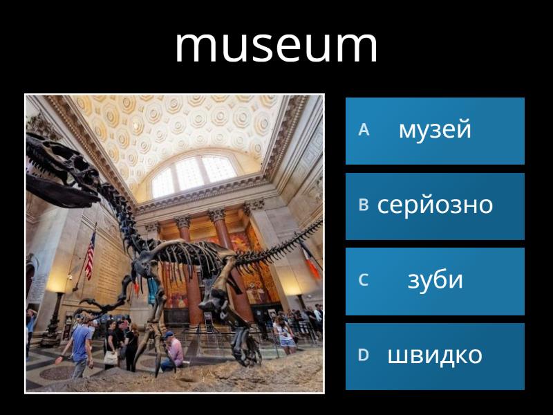 Museums - Quiz