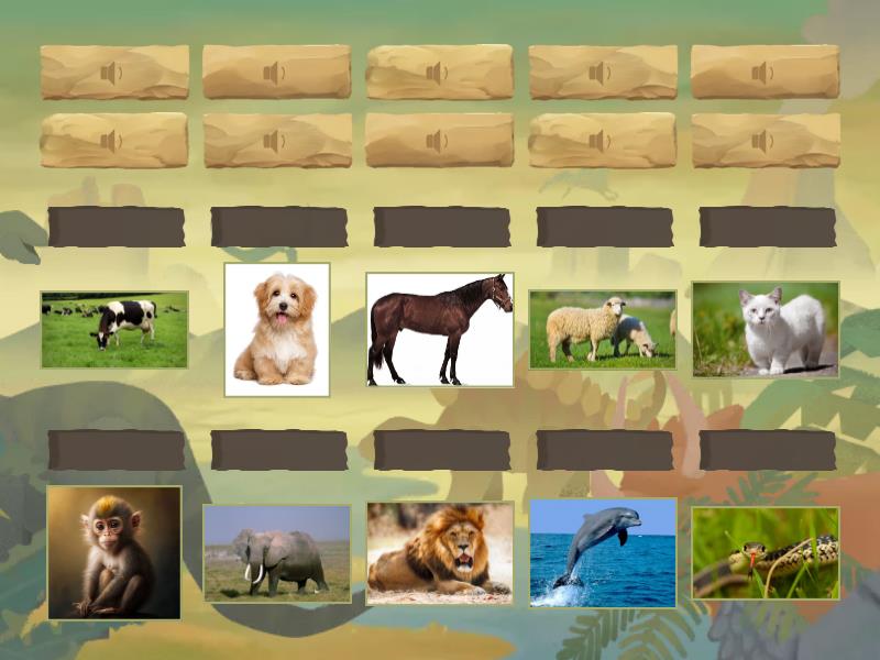 Animal Sounds - Match up