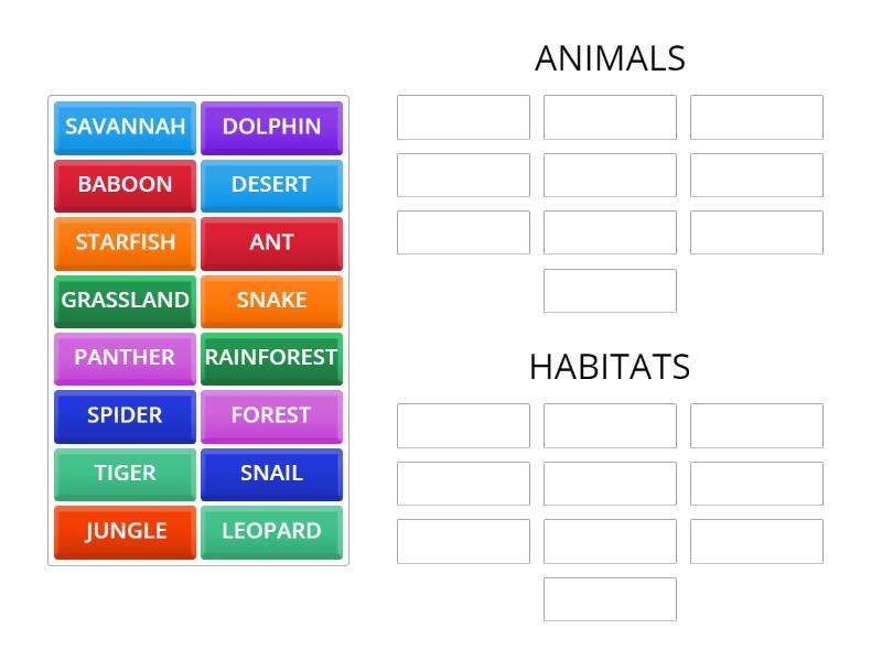 @silvia_coros · ANIMALS - Classify - Group sort