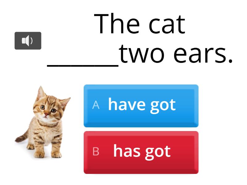 12) Have got / has got - Games Guide - Quiz