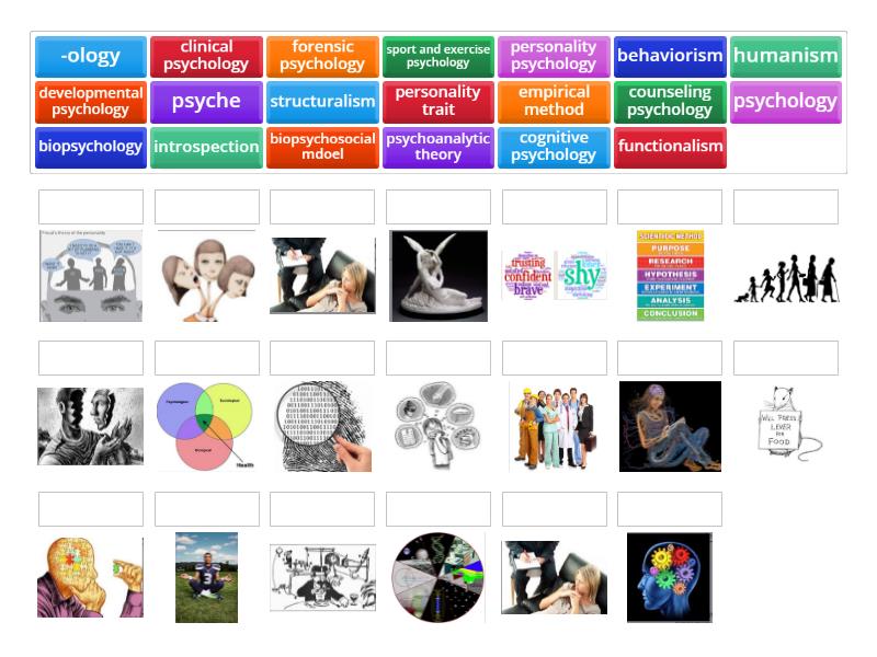 WORD WALL: KEY TERMS AND VISUALS - Match up