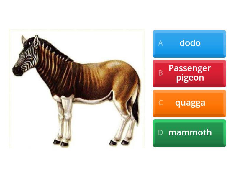 7B u3 Extinct Animals - Quiz