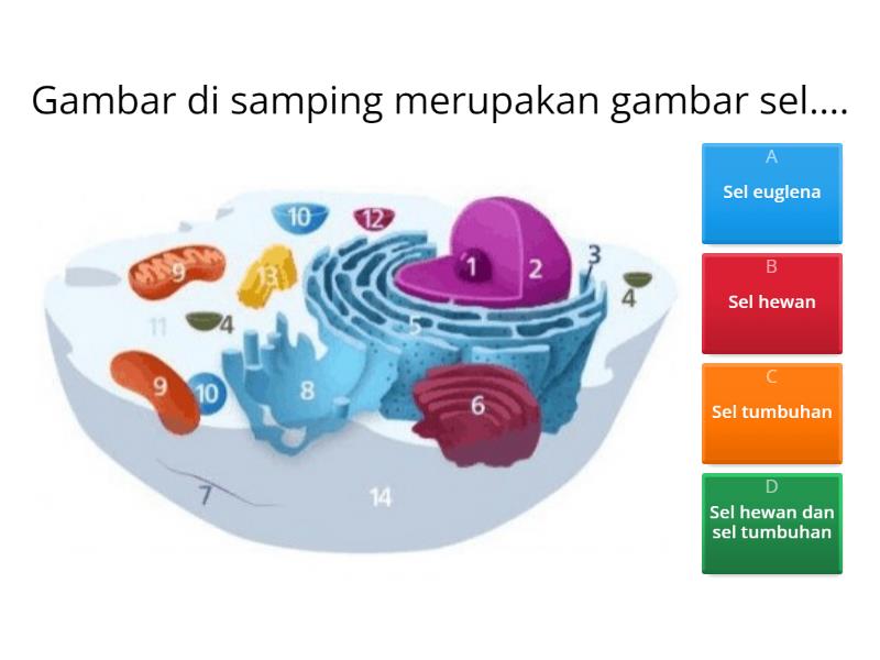spesialisasi Sel & Mikroskop - Quiz