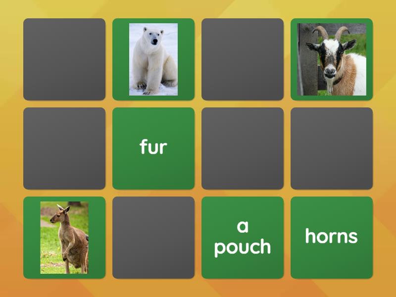 Animal Habitats - Matching pairs