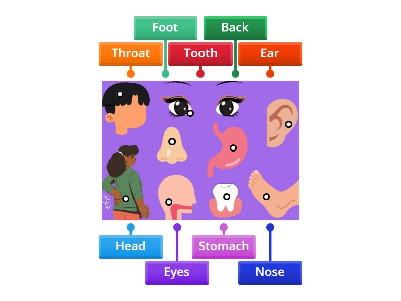 Health problems - body parts - Labelled diagram