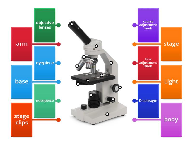 Microscope tech project - Labelled diagram