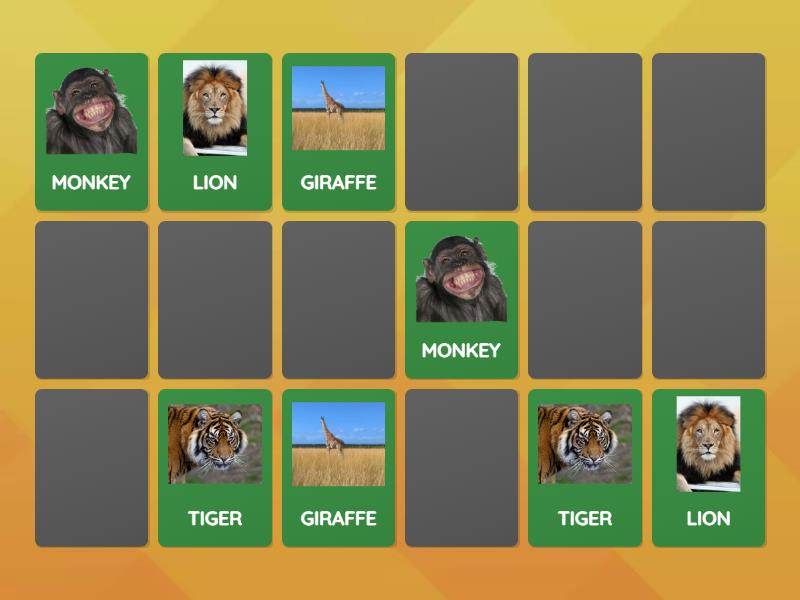 Safari - Matching pairs