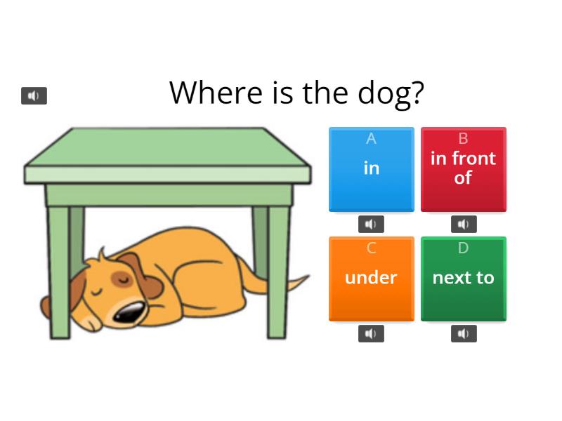 prepositions-of-place-quiz