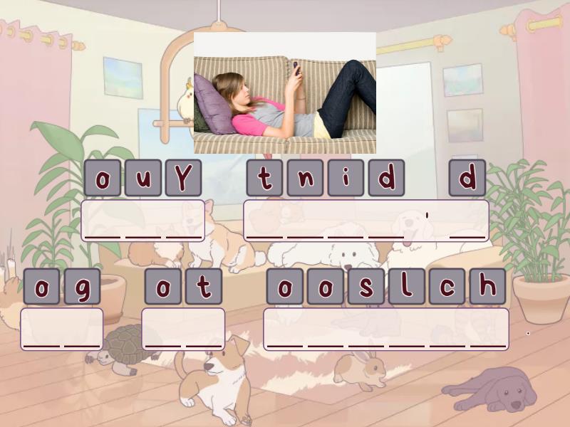 T6. Yes / No questions and sentences - Anagrama