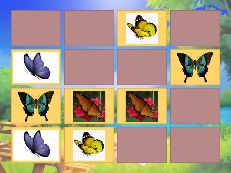 Butterfly Matching - Matching pairs