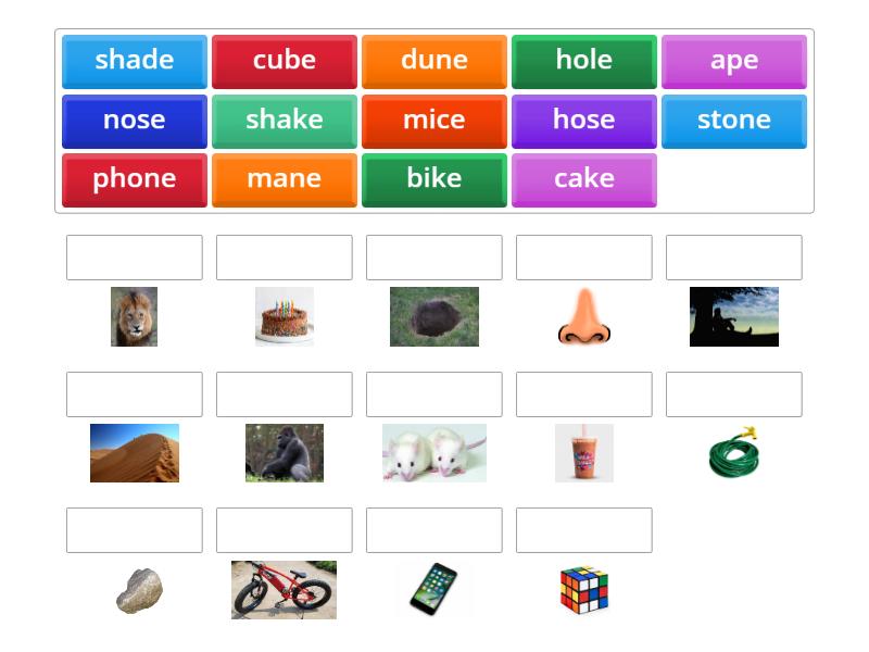 CVCE Words - Match up