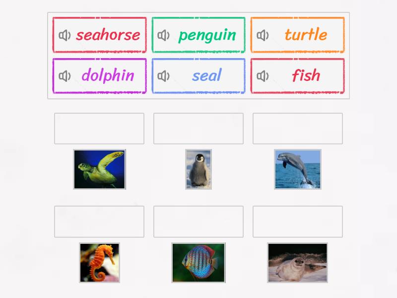 Beehive Unit 6 - Match up