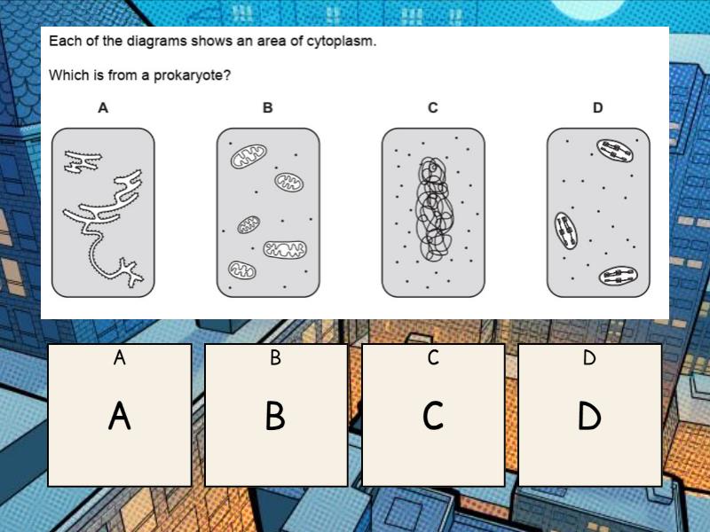 PROKARYOTES - PROTISTA - FUNGI - PLANT - VIRUSES - Gameshow quiz