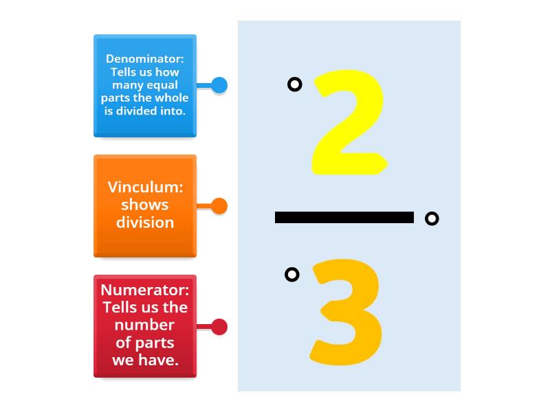 The Anatomy of a Fraction - Labelled diagram
