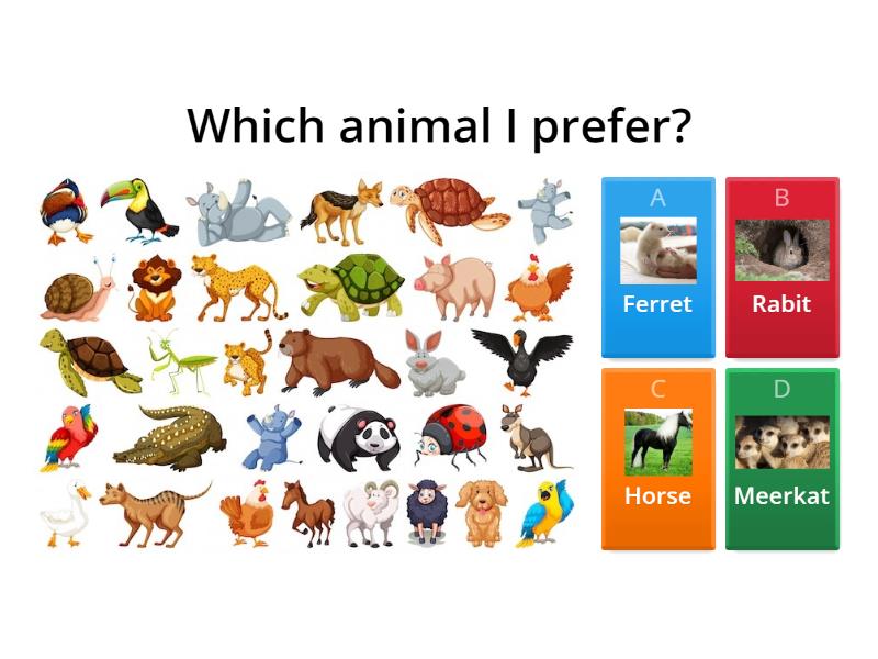 What I like/prefer. - Quiz