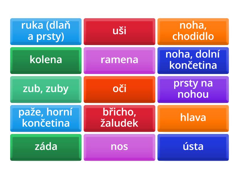 Kid's Box 3 Unit 5 - Body parts (flip tiles) - Fichas giratorias