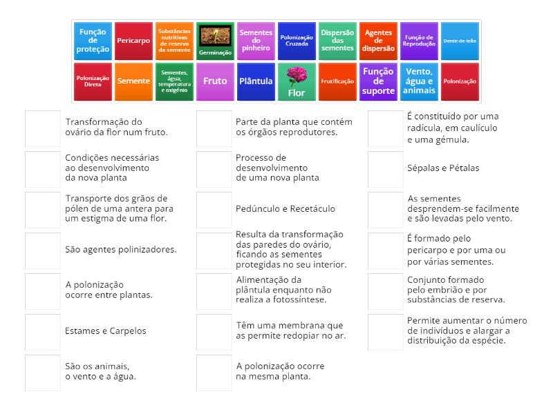 A reprodução nas plantas - Match up