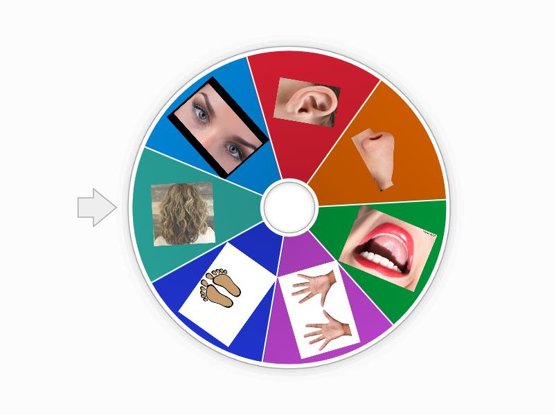 Body Parts 7/18 - Spin the wheel