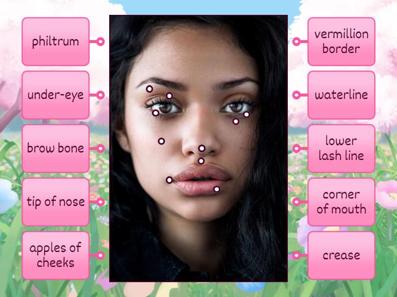 Face parts, detailed, advanced (10) - Diagrama con etiquetas