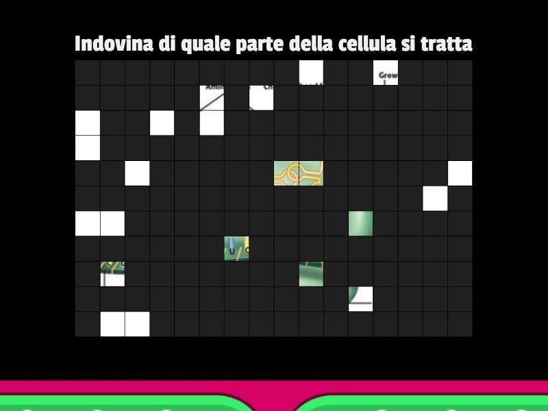 La cellula - Image quiz