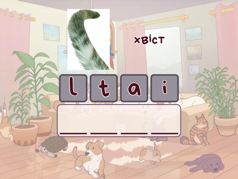 7. animals - Anagrama