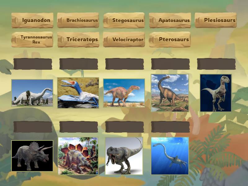 Dinosaurs - Match up