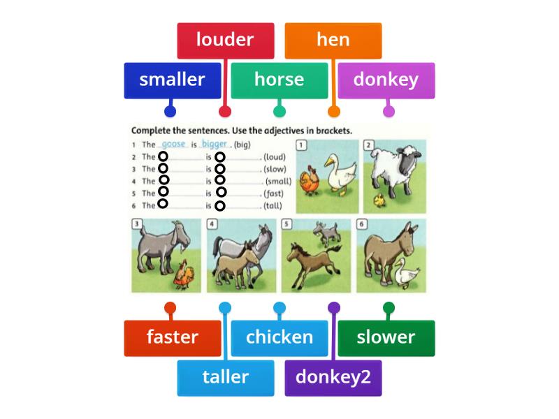 FF2 UNIT 13 GRAMMAR - Labelled diagram