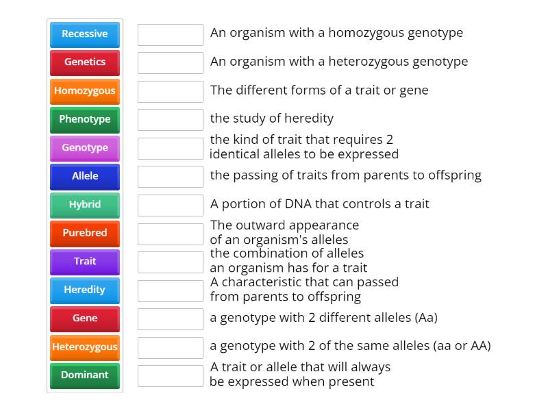 Genetics - Match up