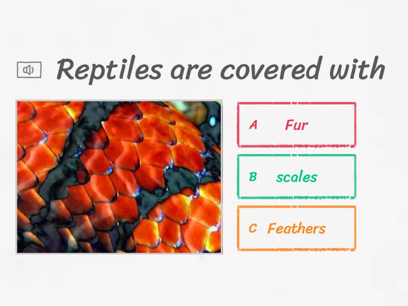 Reptiles - Cuestionario